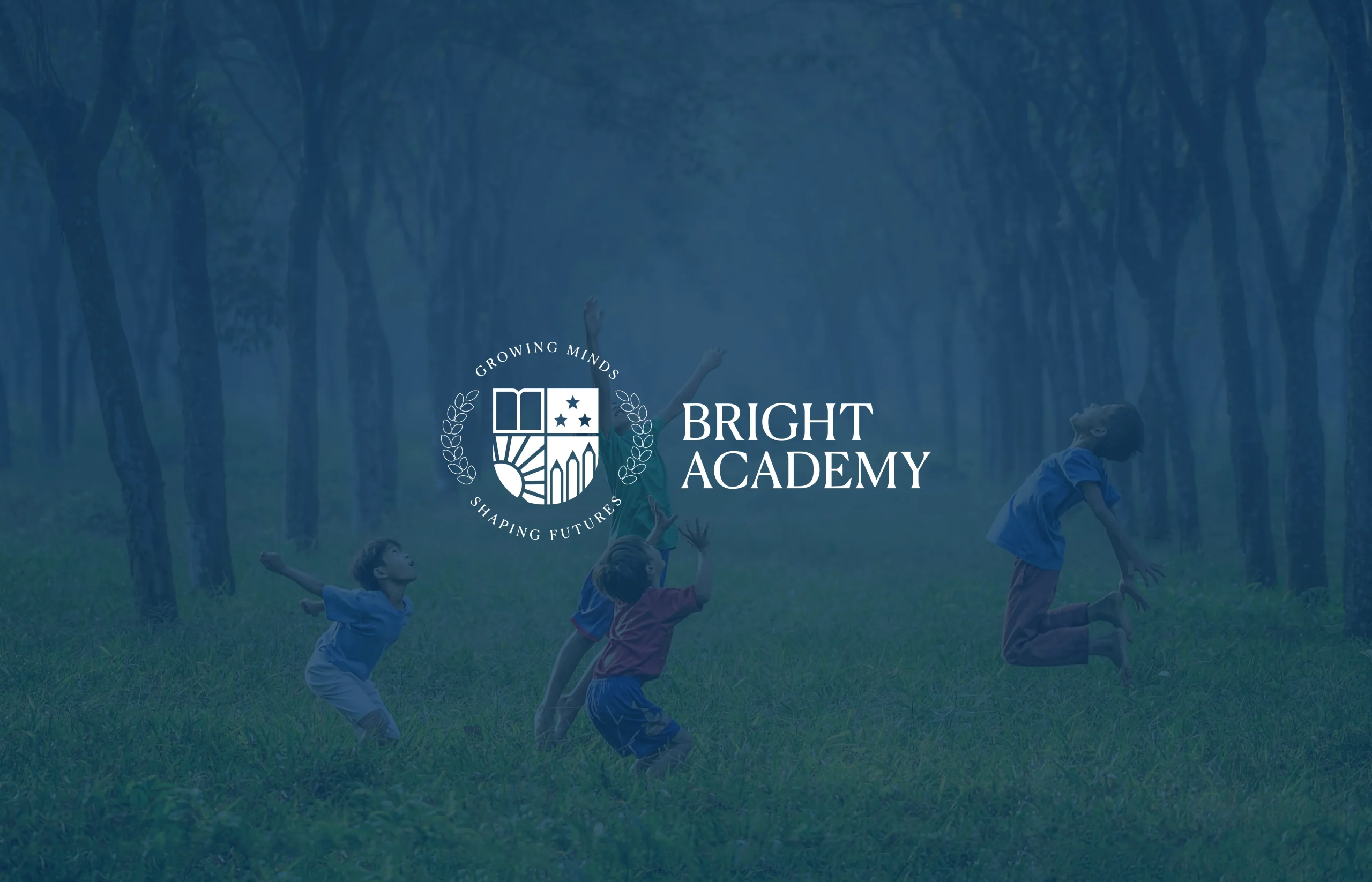 Bright Academy - UI UX design and full stack web software development ...
